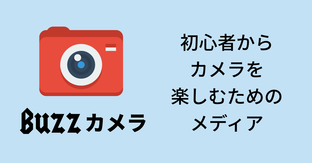 Buzzカメラ